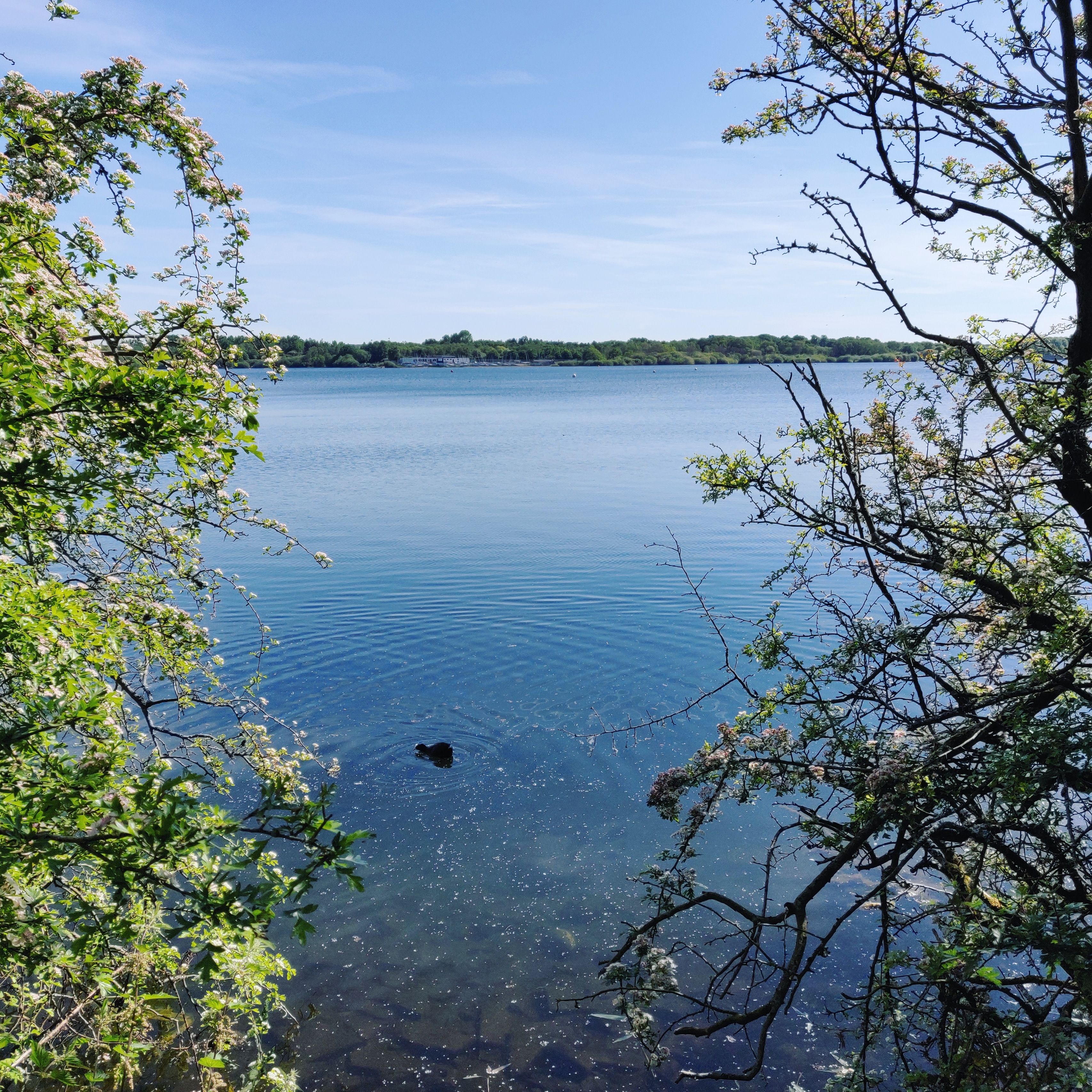 8th June 2021 – haiku.blog