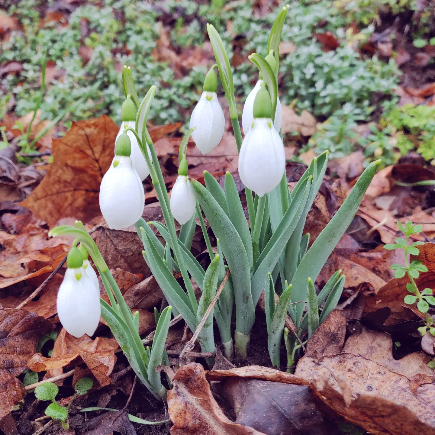 30th January 2022 – haiku.blog