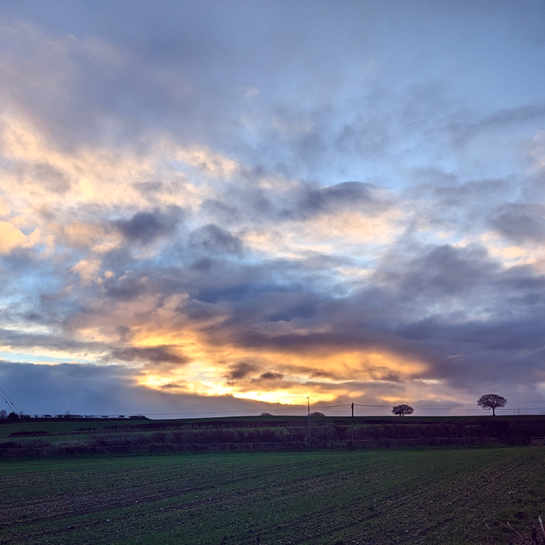 12th January 2023 – haiku.blog