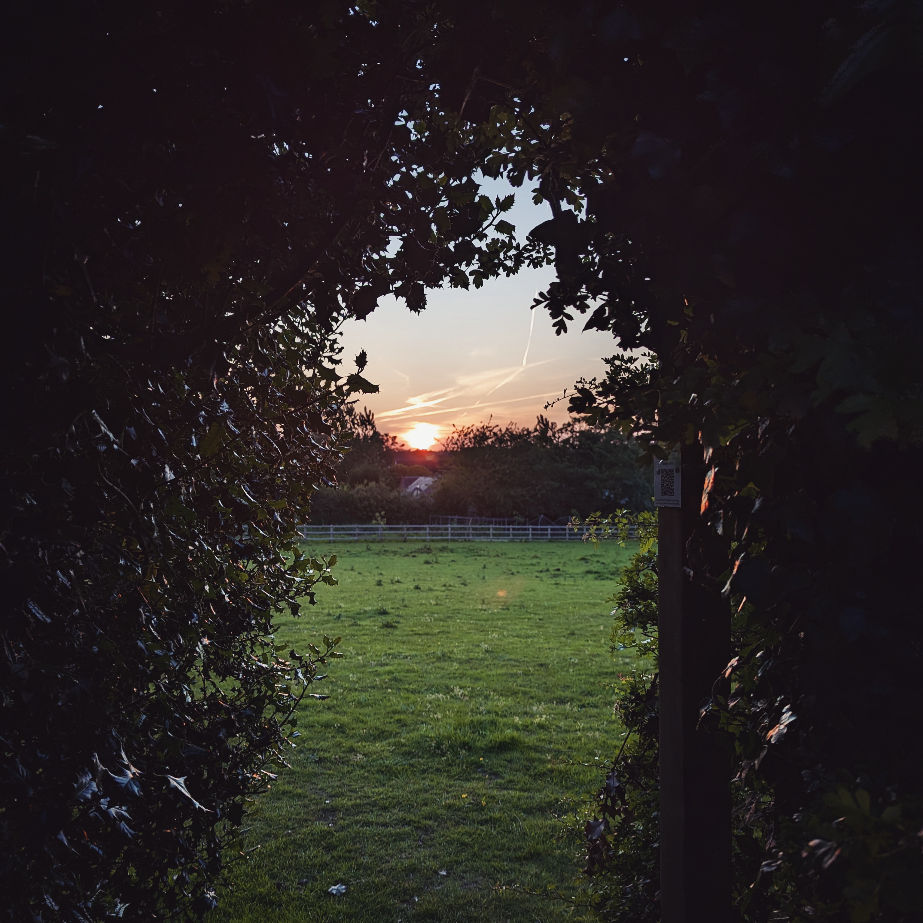 9th June 2023 – haiku.blog