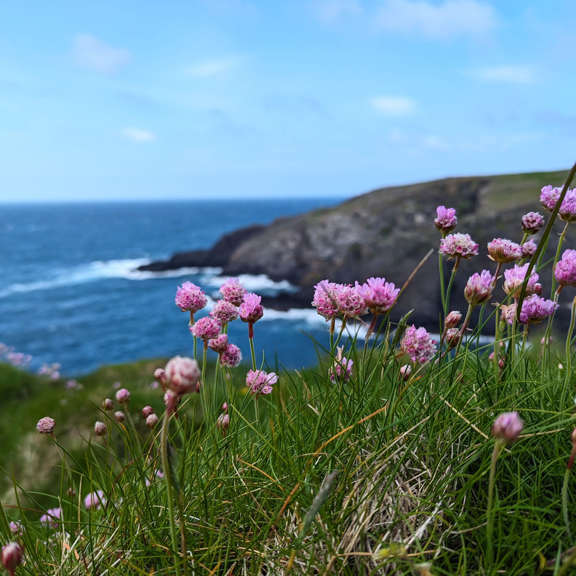 5th June 2024 – haiku.blog