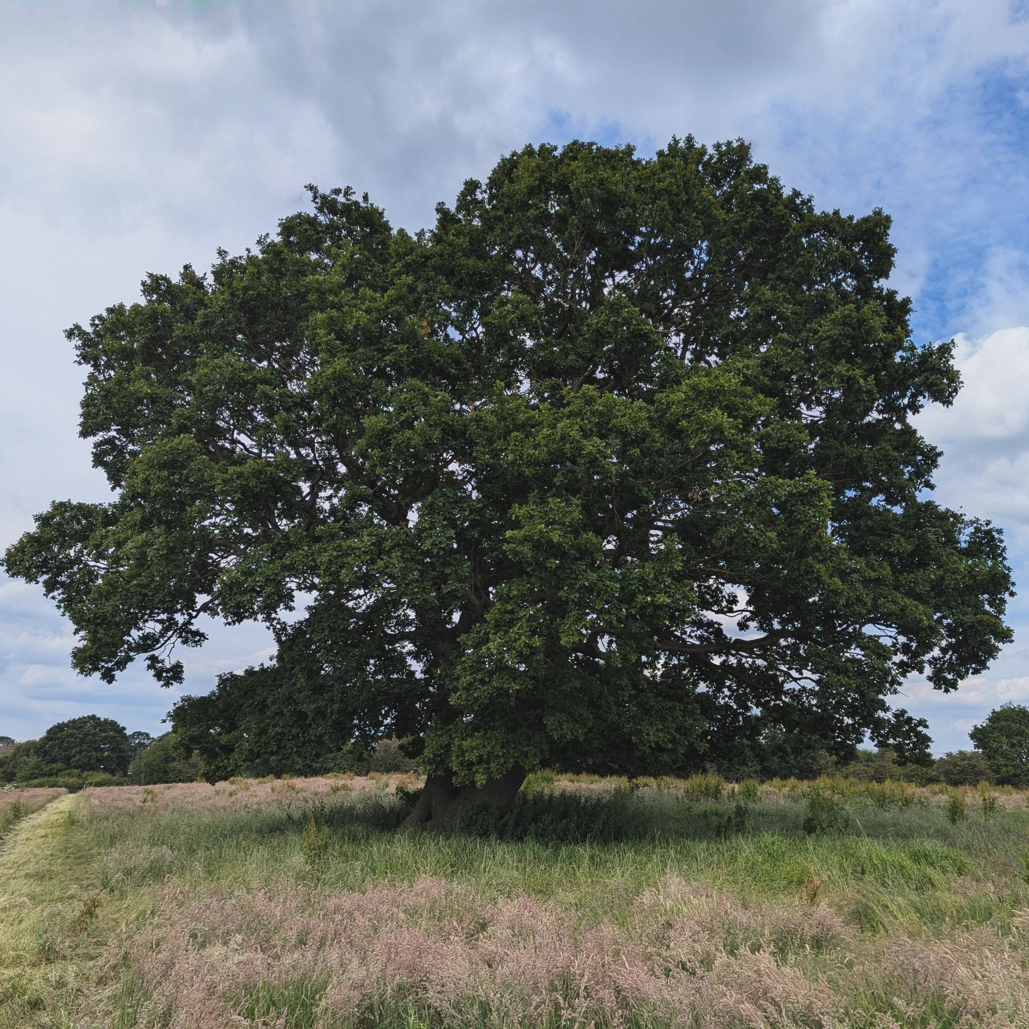 23rd June 2024 – haiku.blog