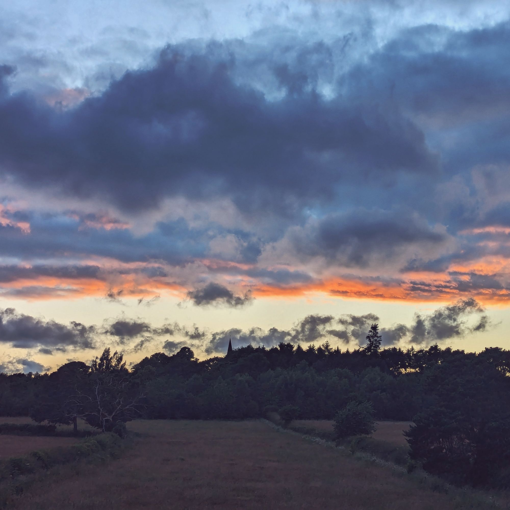 30th June 2024 – haiku.blog