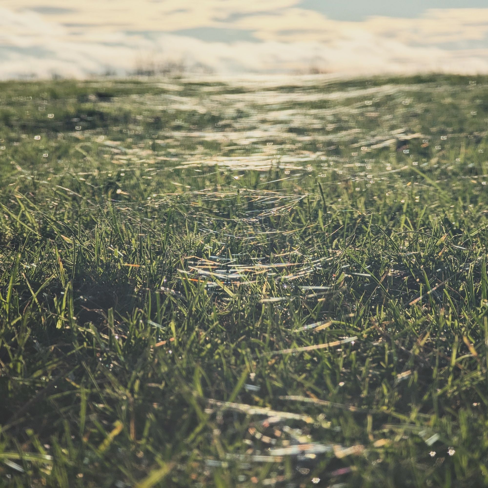 1st January 2025 – haiku.blog