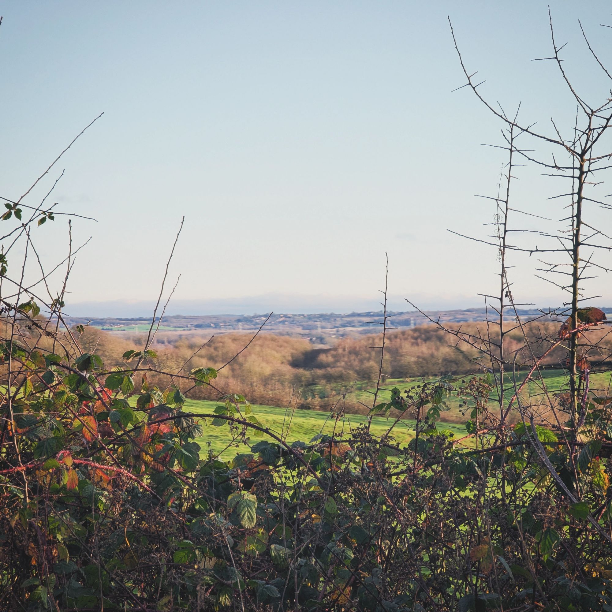 2nd January 2025 – haiku.blog