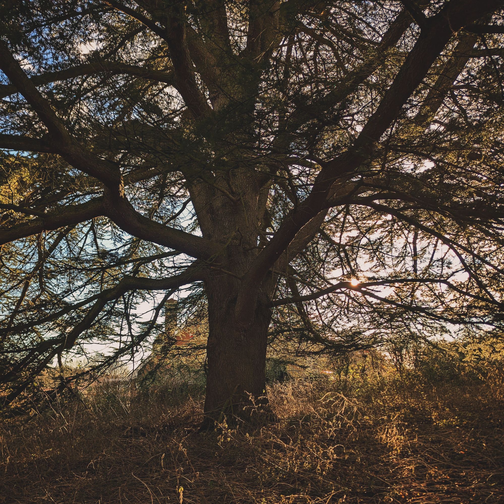 3rd January 2025 – haiku.blog