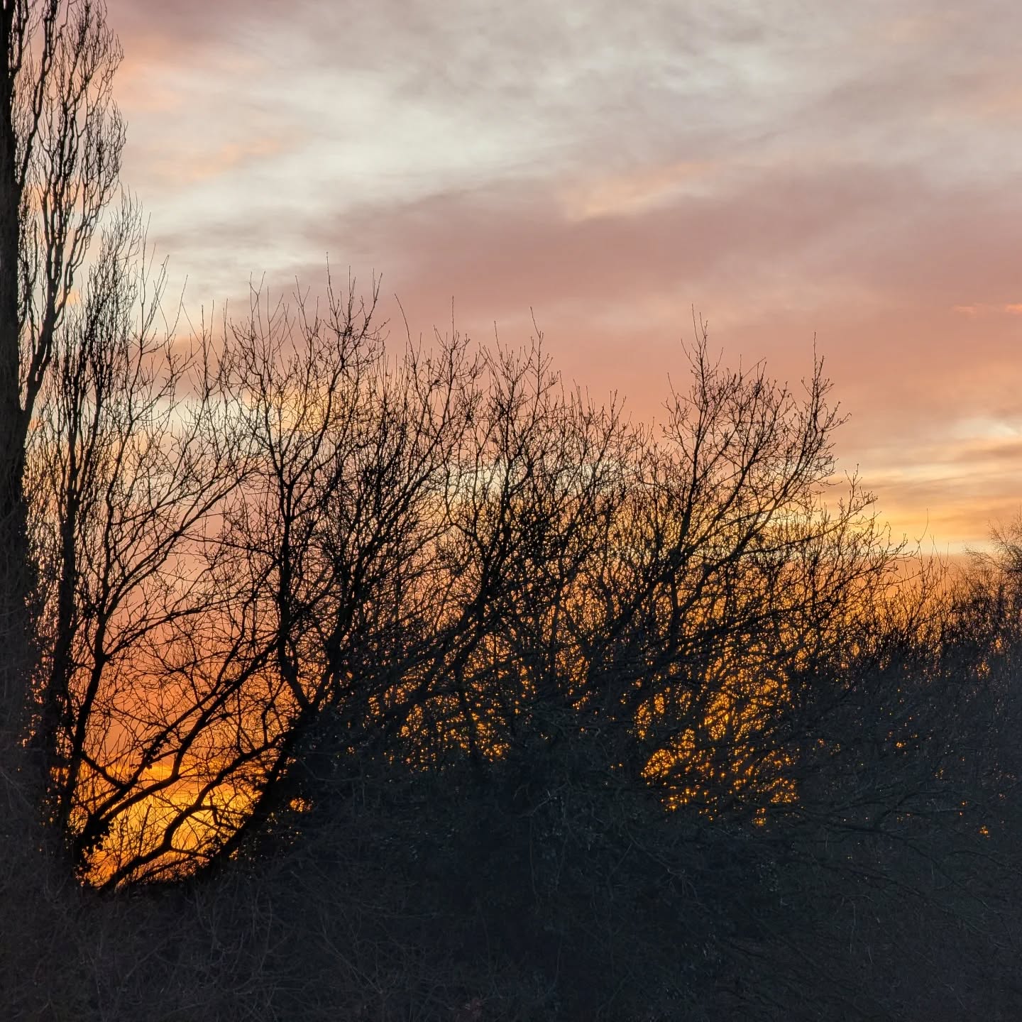 13th January 2025 – haiku.blog