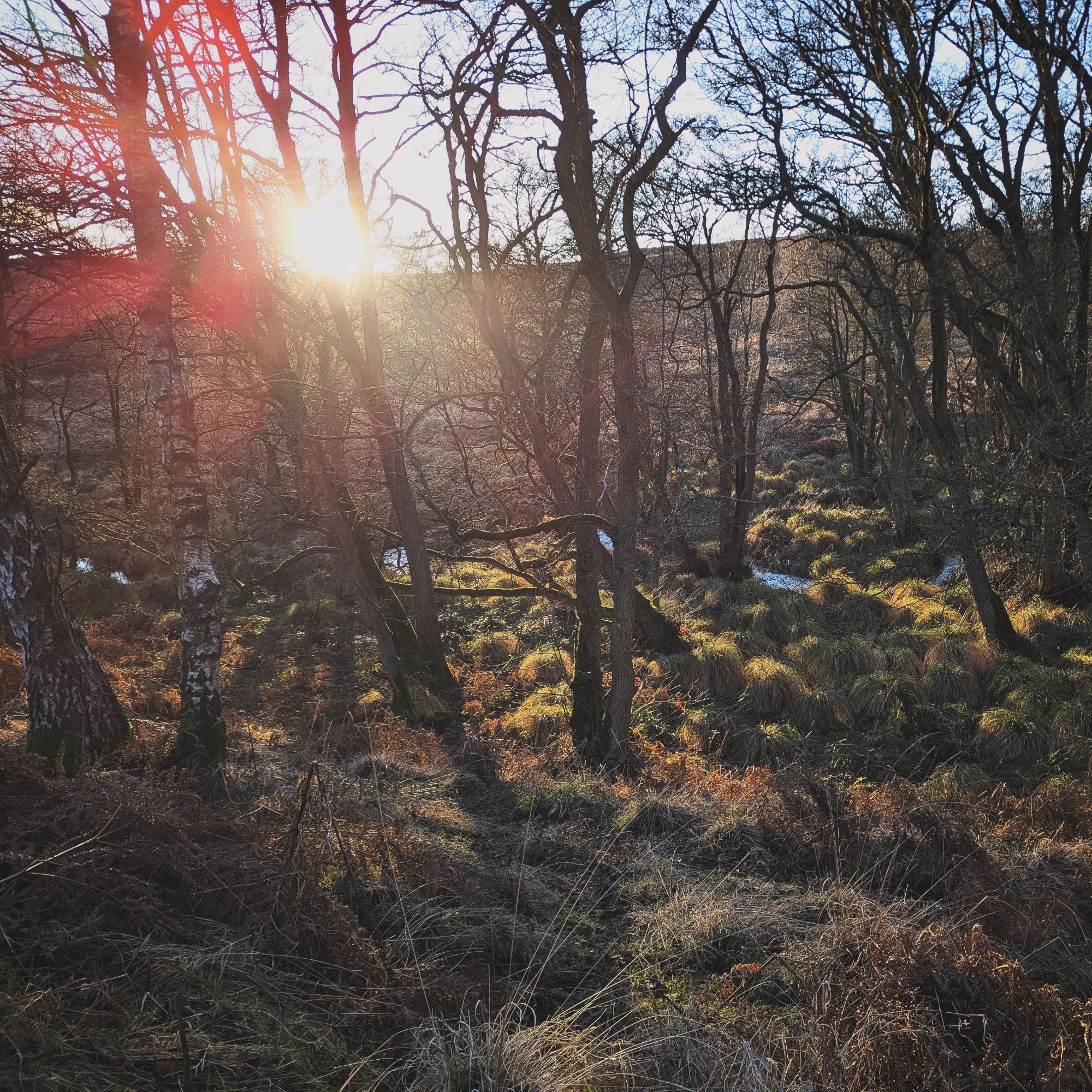 14th January 2025 – haiku.blog