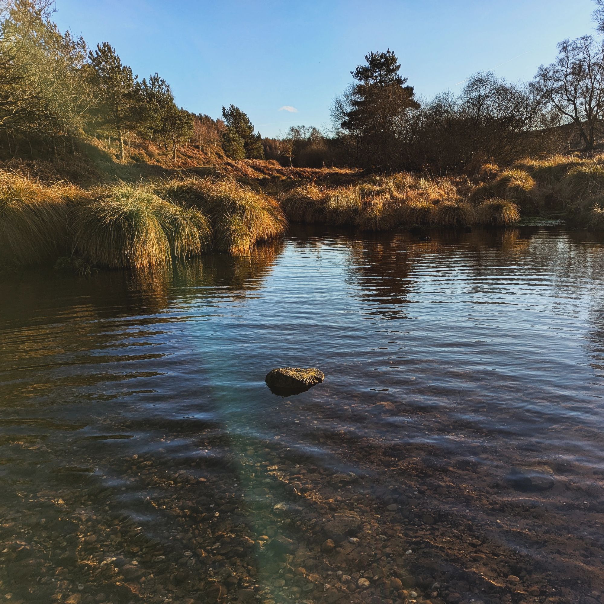 15th January 2025 – haiku.blog