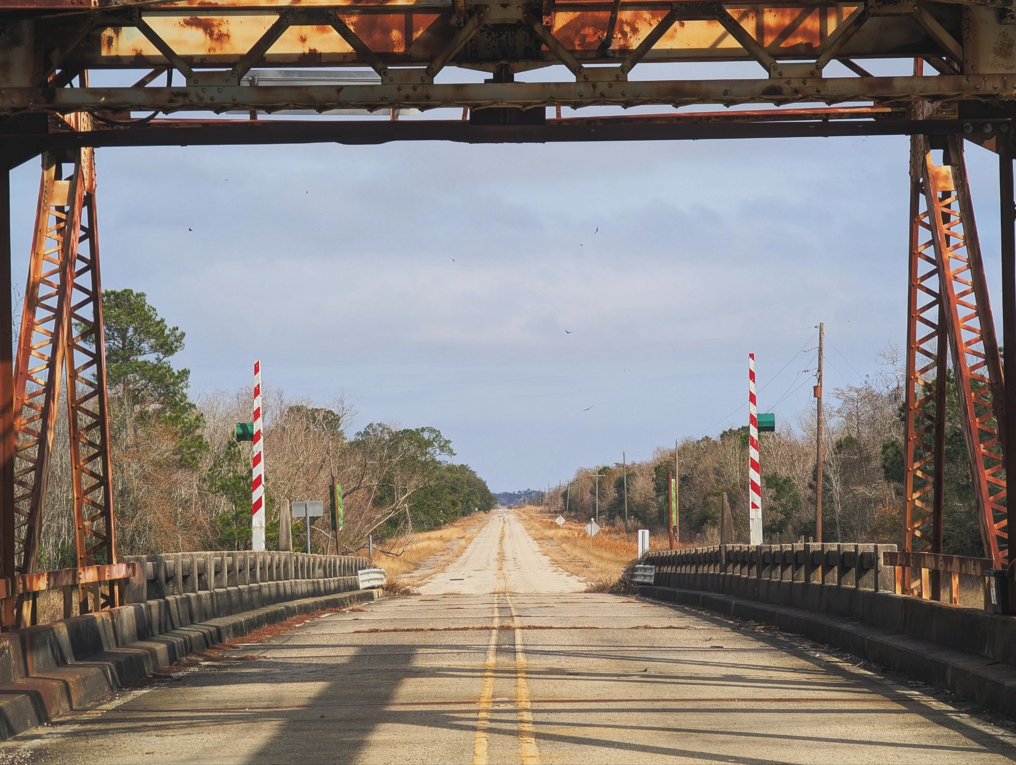 23rd March 2025 – haiku.blog