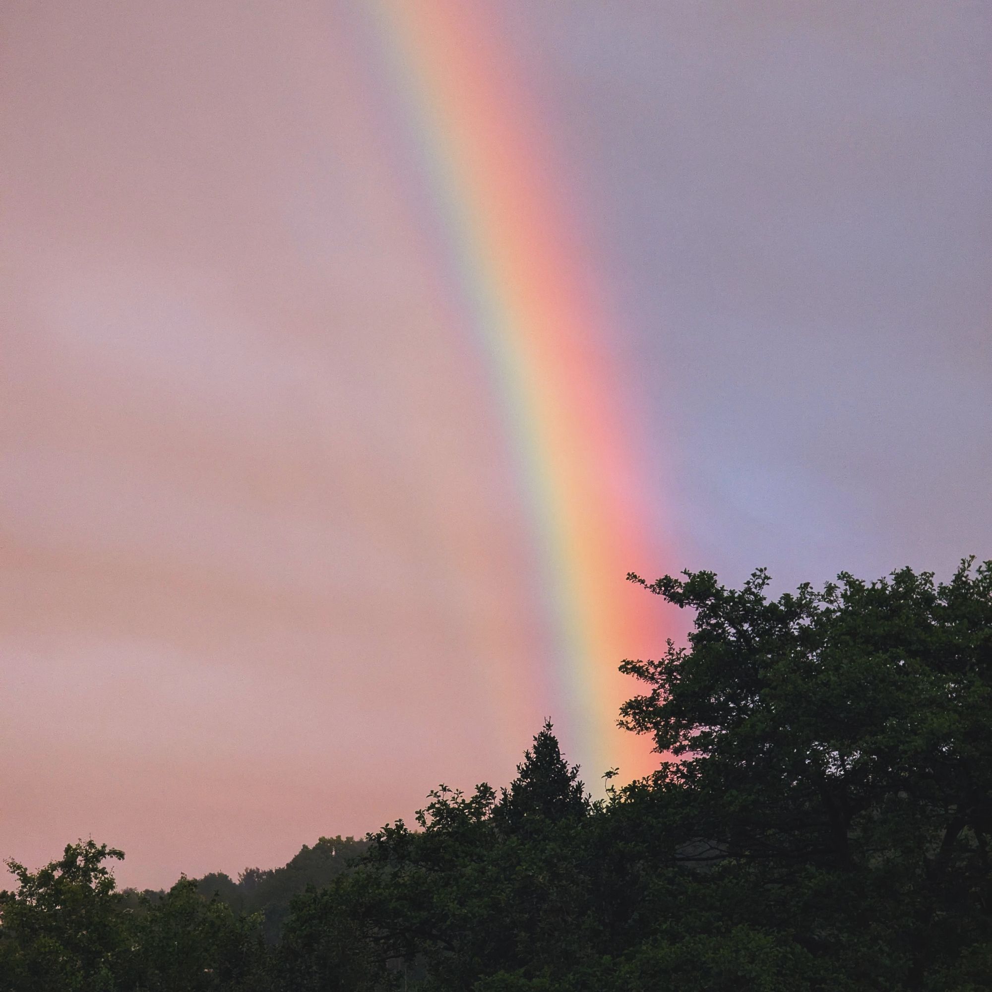3rd June 2025 – haiku.blog