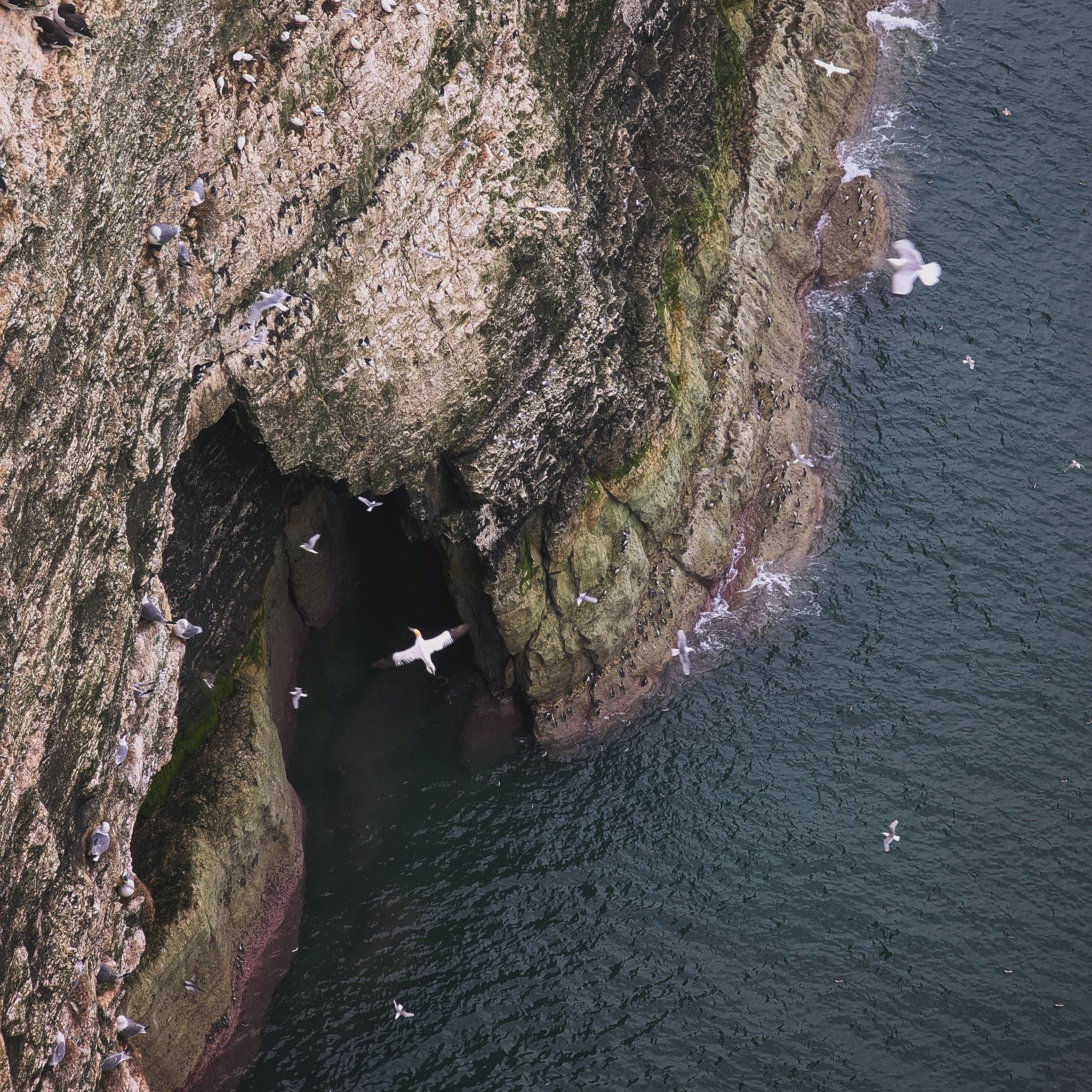 14th June 2025 – haiku.blog