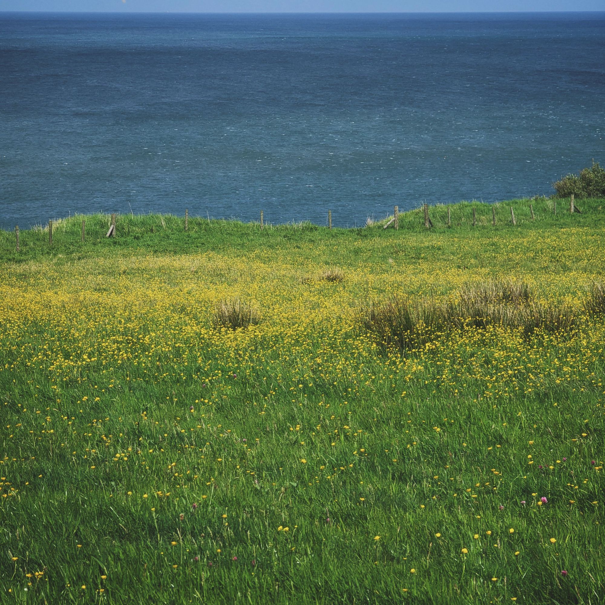 15th June 2025 – haiku.blog