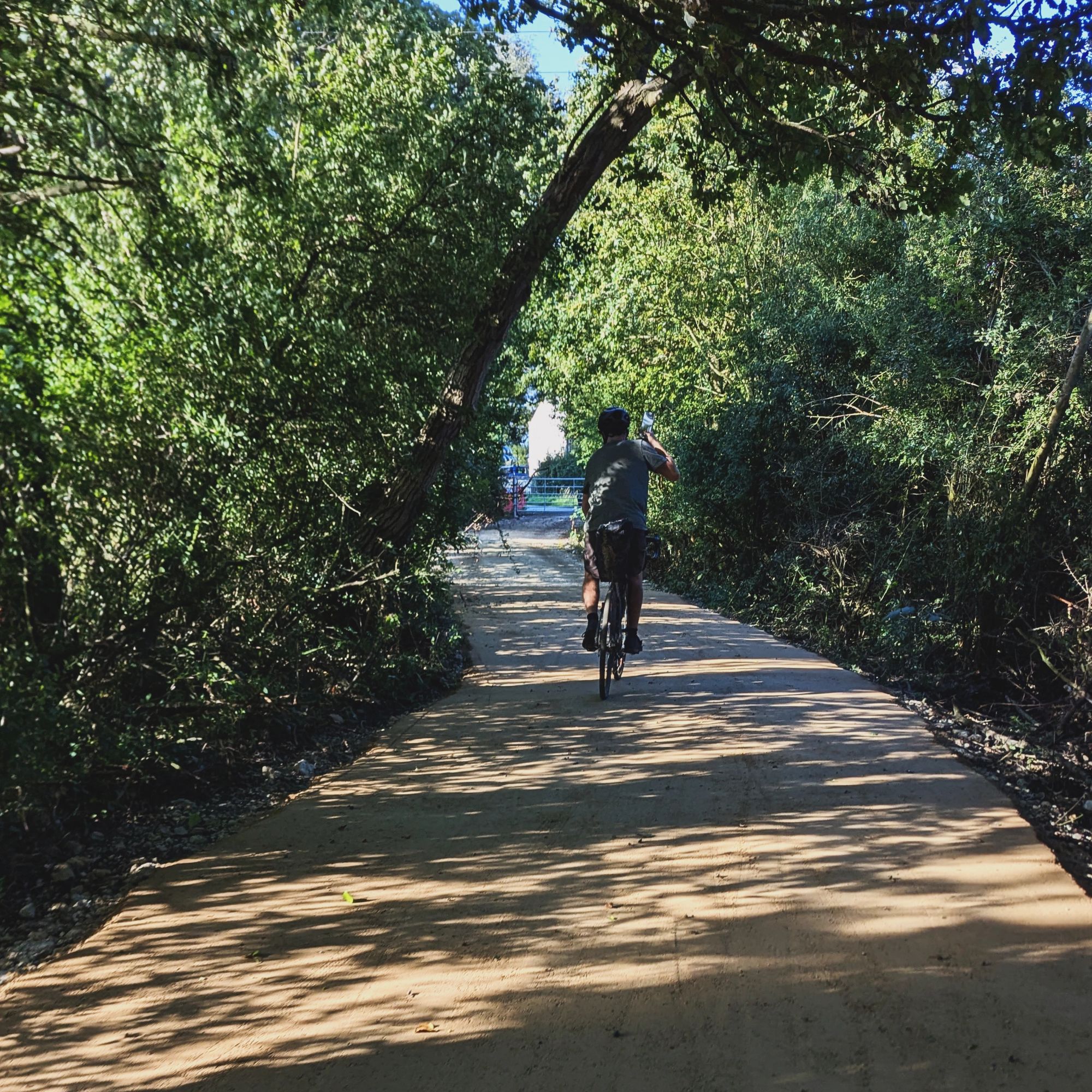 30th July 2025 – haiku.blog