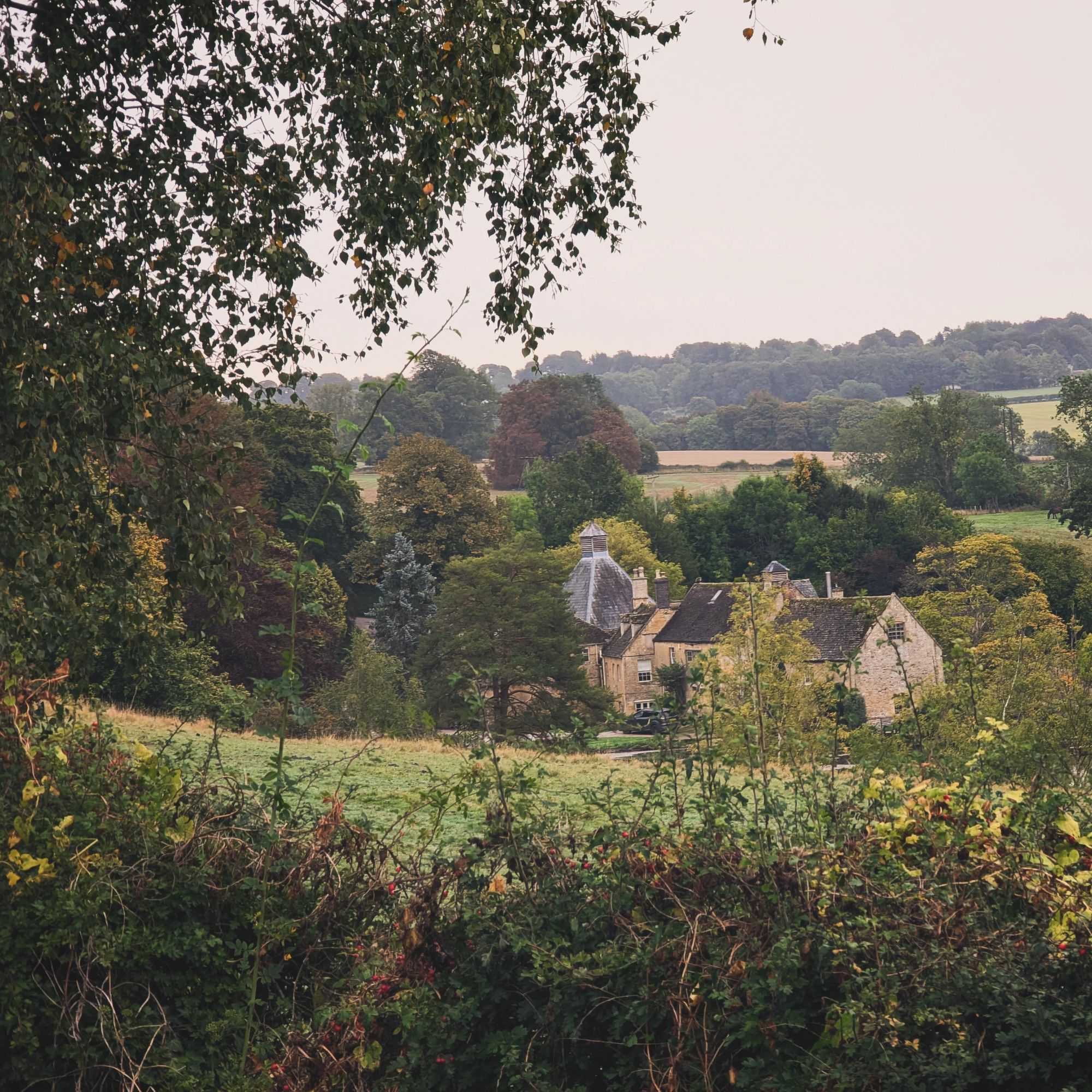 26th September 2025 – haiku.blog